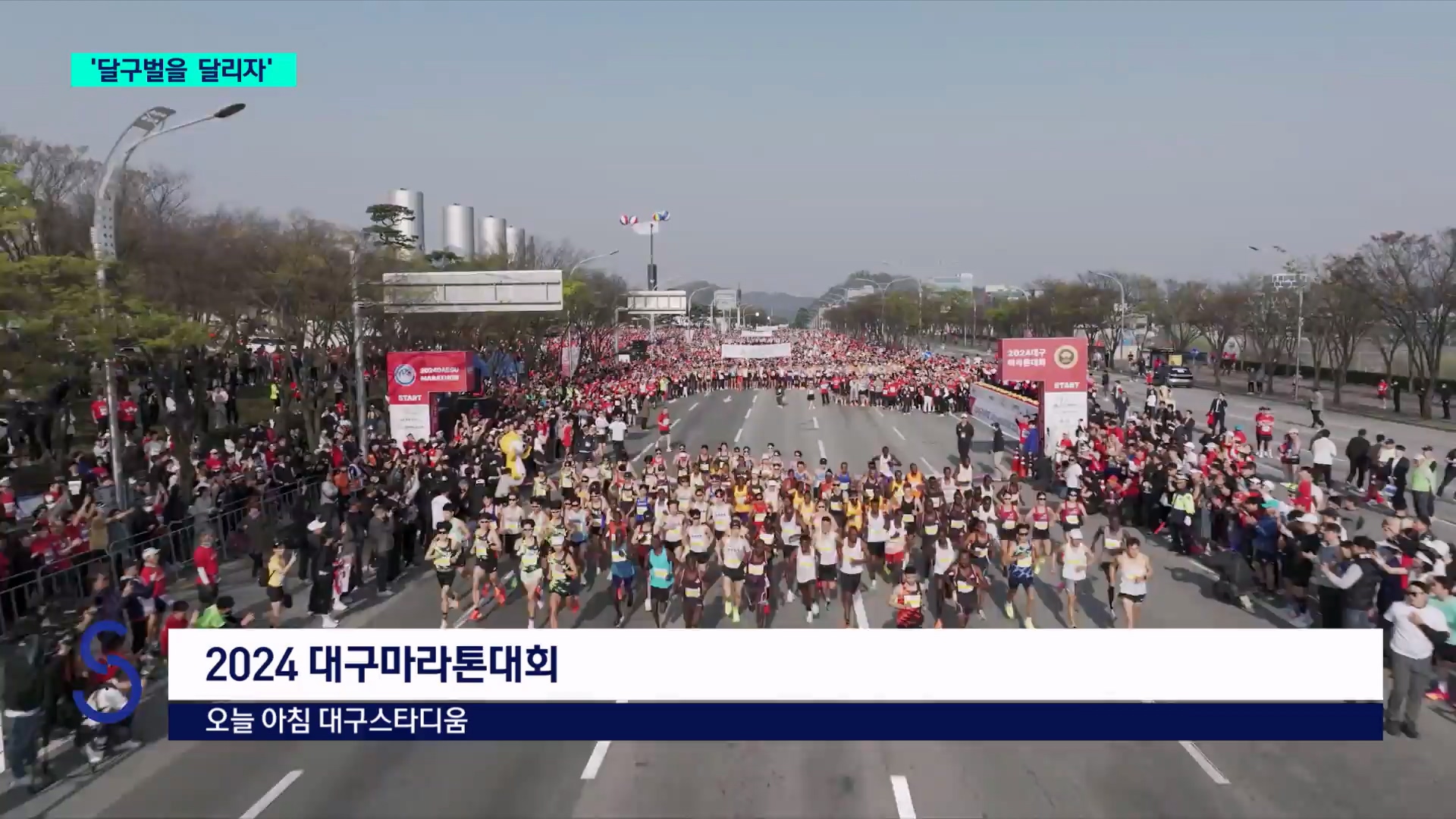 '달구벌을 달리자' 대구마라톤대회 열려 - Kollo