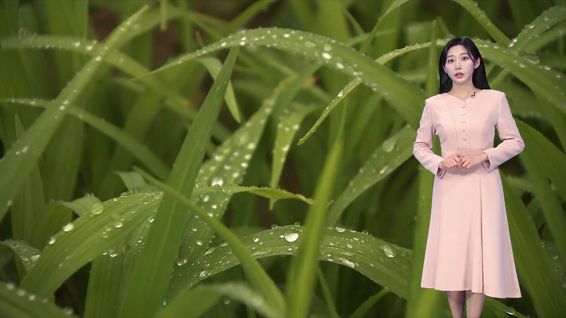 [굿모닝 날씨]대구경북 5mm 비...강풍,건조 여전