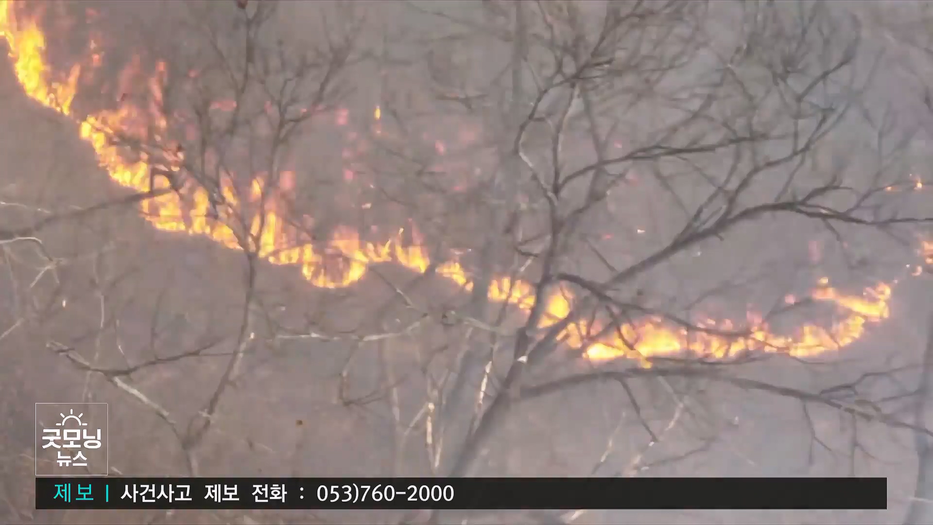 '역대 최악' 피해...사망자 24명으로 늘어