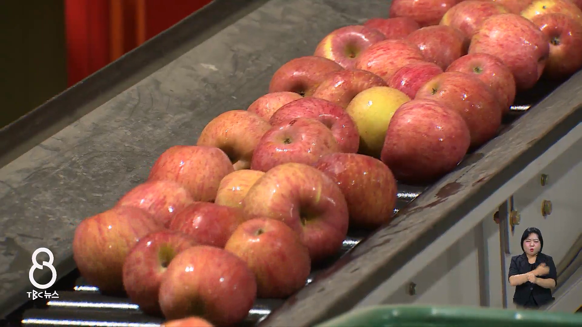 경북 북부권, '미국 농축산물 수입' 반발 확산